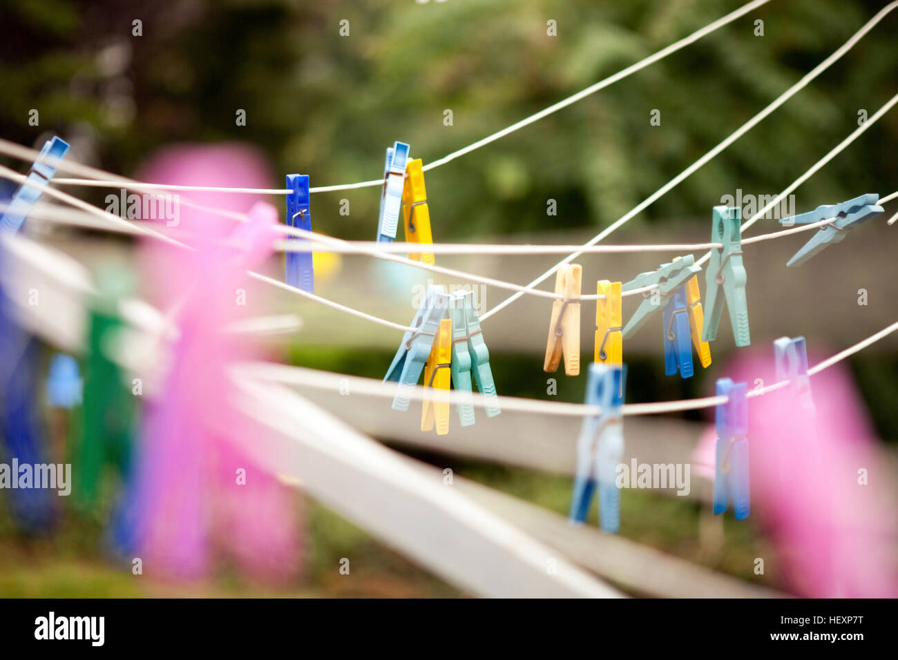 Clothes line with pegs in garden Stock Photo - Alamy