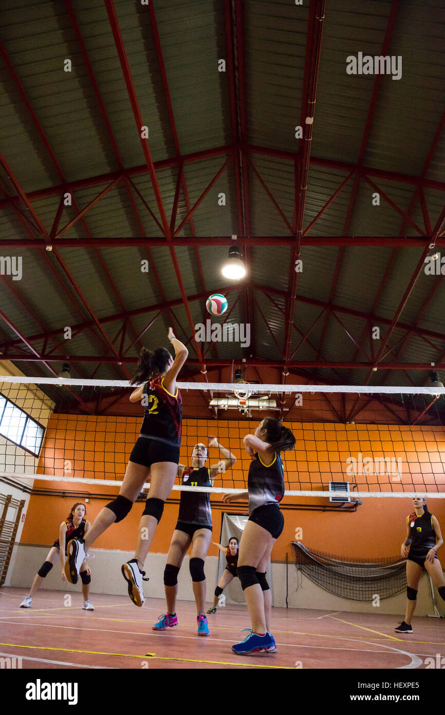 Volleyball player spiking the ball during a volleyball match Stock ...