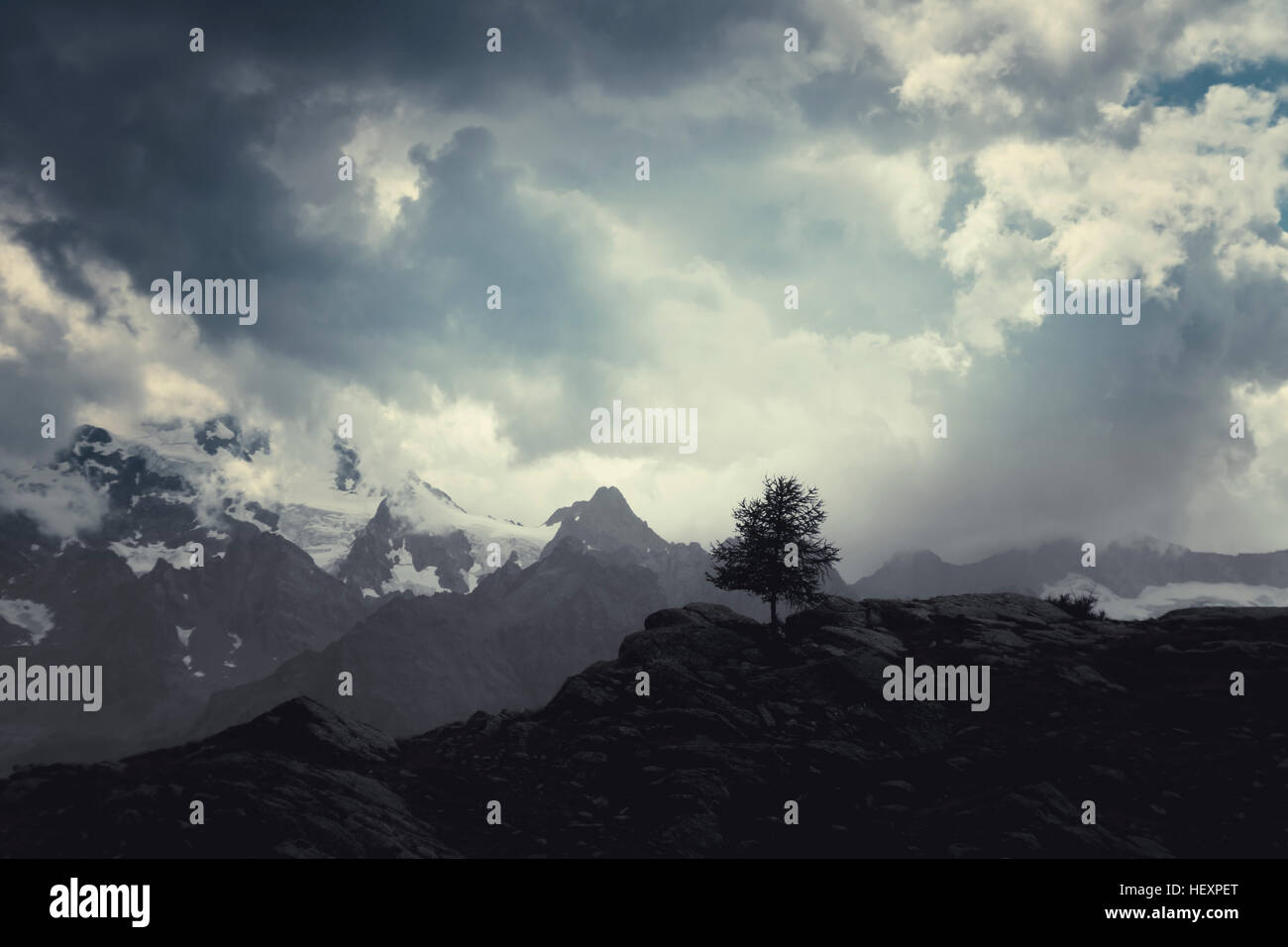 Tree single mountain hi-res stock photography and images - Alamy