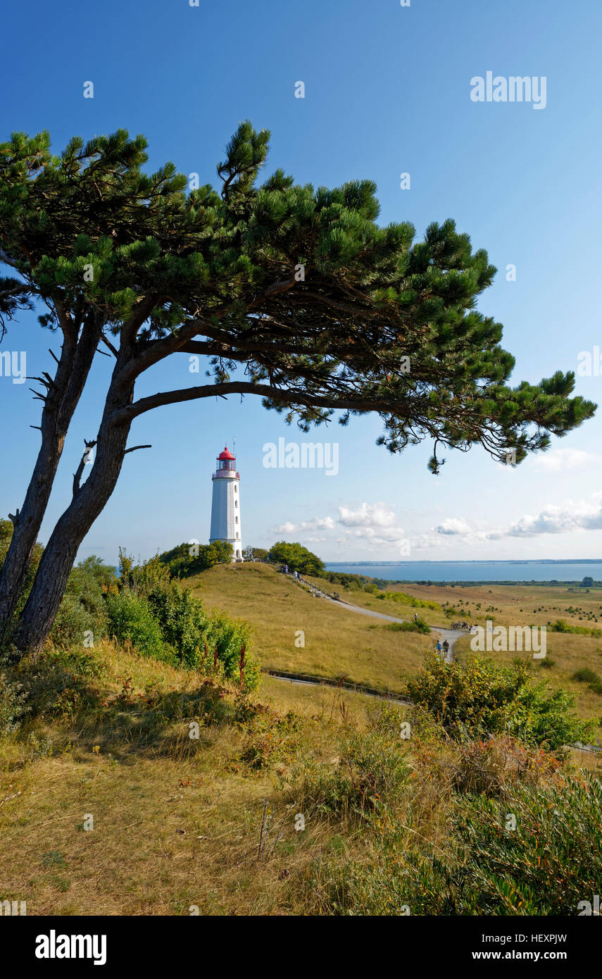 Germany, Hiddensee, Dornbusch, view to landscape and lighthouse Stock ...