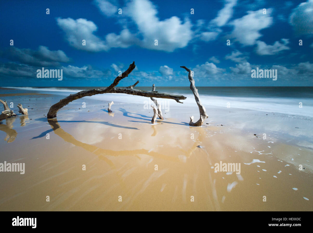Sand sinking hi-res stock photography and images - Alamy