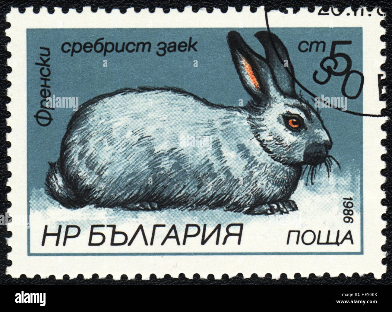 A postage stamp printed in Bulgaria shows Silver Rabbit, "Rabbits ...