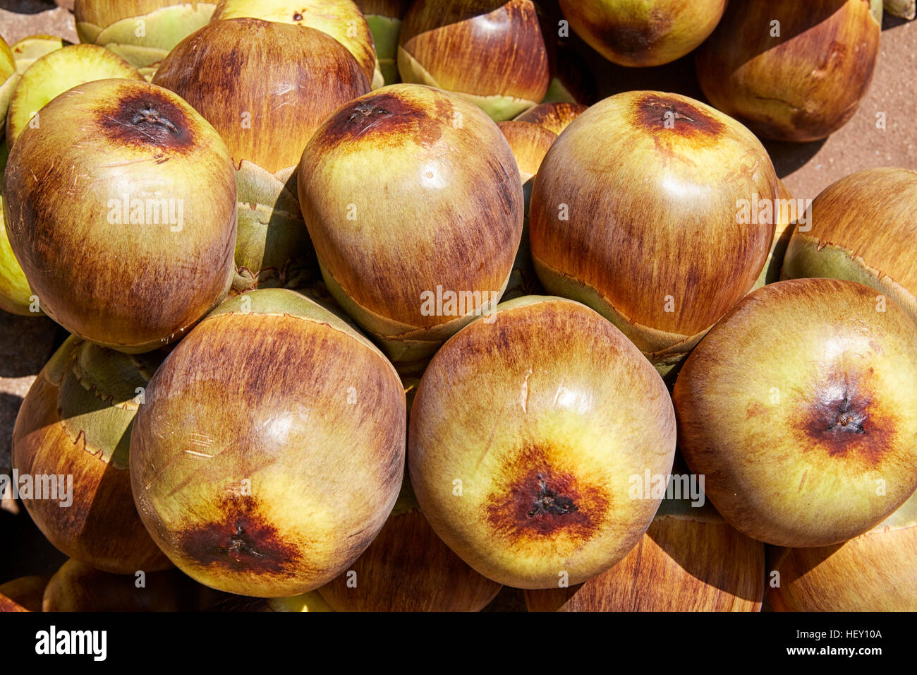 Asian Palmyra (Borassus Flabellifer) fruit, Myanmar Stock Photo - Alamy