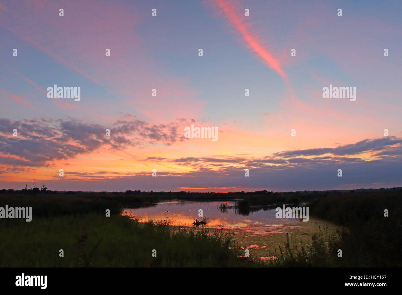 Strumpshaw Fen RSPB nature reserve in the Norfolk Broads at sunset ...