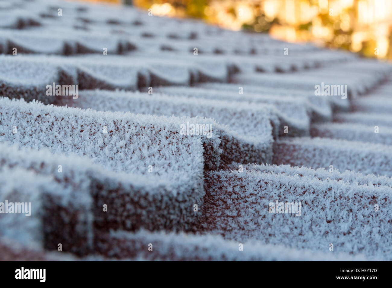 Stay freeze hi-res stock photography and images - Alamy