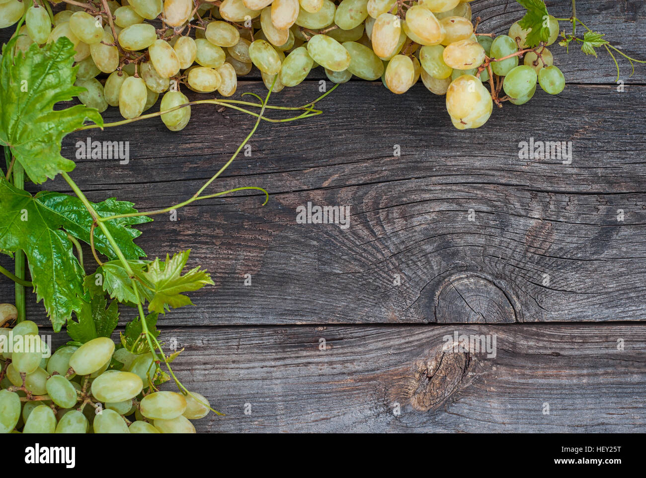 Empty fruit bunches hi-res stock photography and images - Alamy