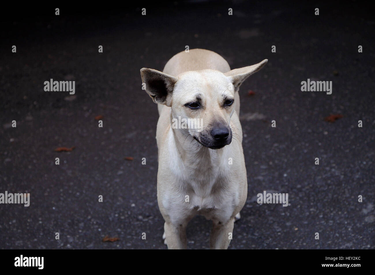 The strangers hand hi-res stock photography and images - Alamy