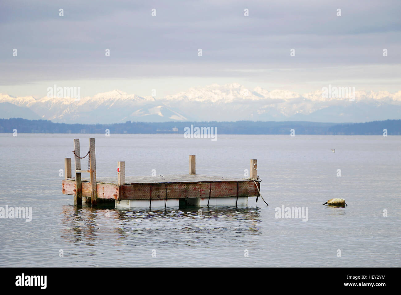 Floating dock in the Puget Sound Stock Photo - Alamy