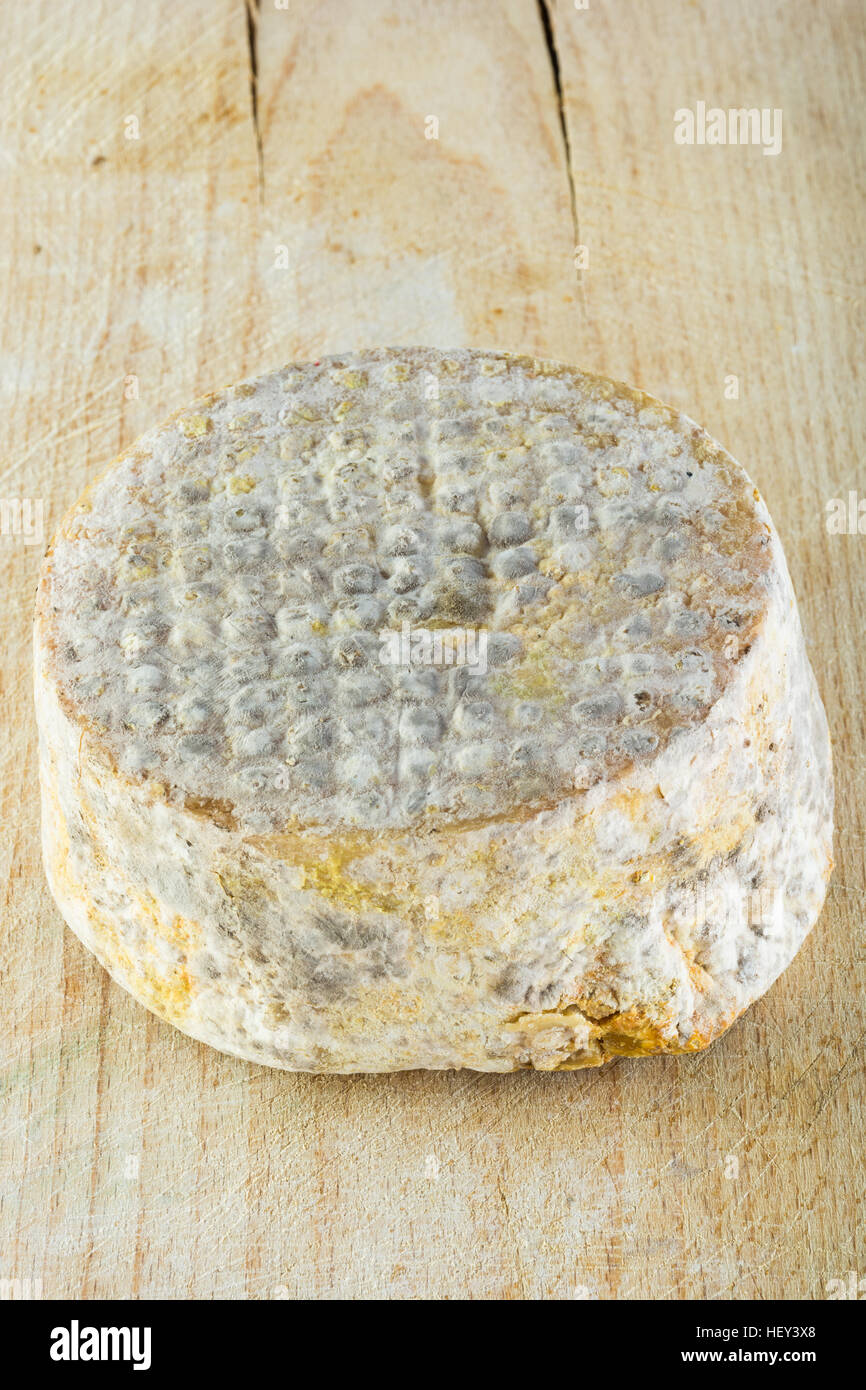The form of hard cheese of a bloomy rind goat's milk, frost crust ...