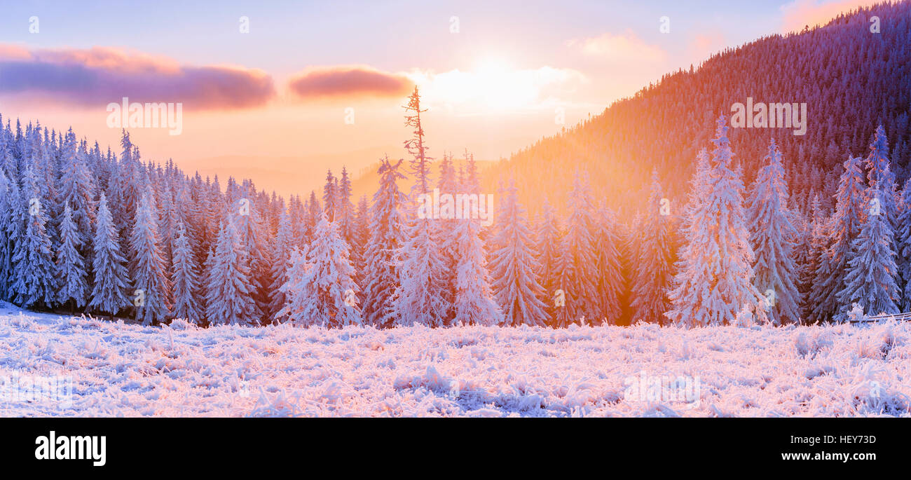 winter landscape trees in frost Stock Photo - Alamy