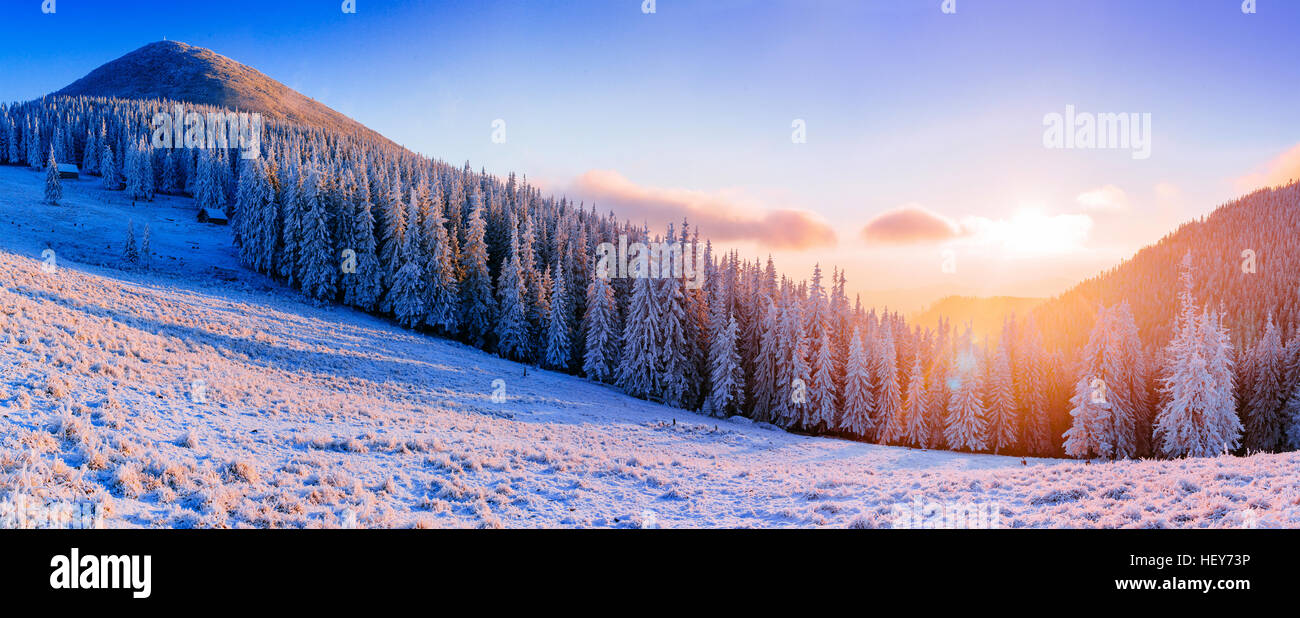 winter landscape trees in frost Stock Photo - Alamy