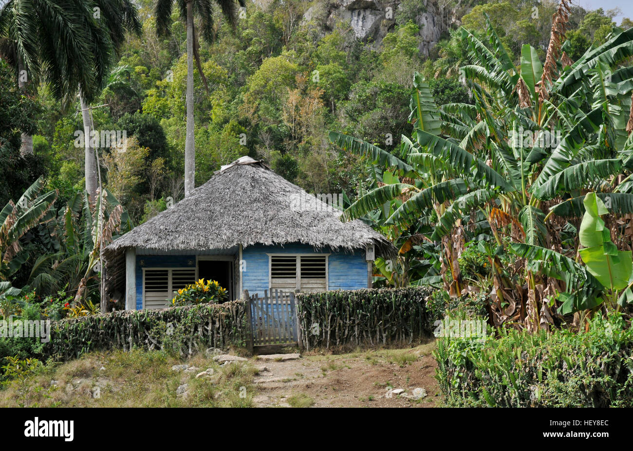Farm house Holguin province Cuba Stock Photo - Alamy