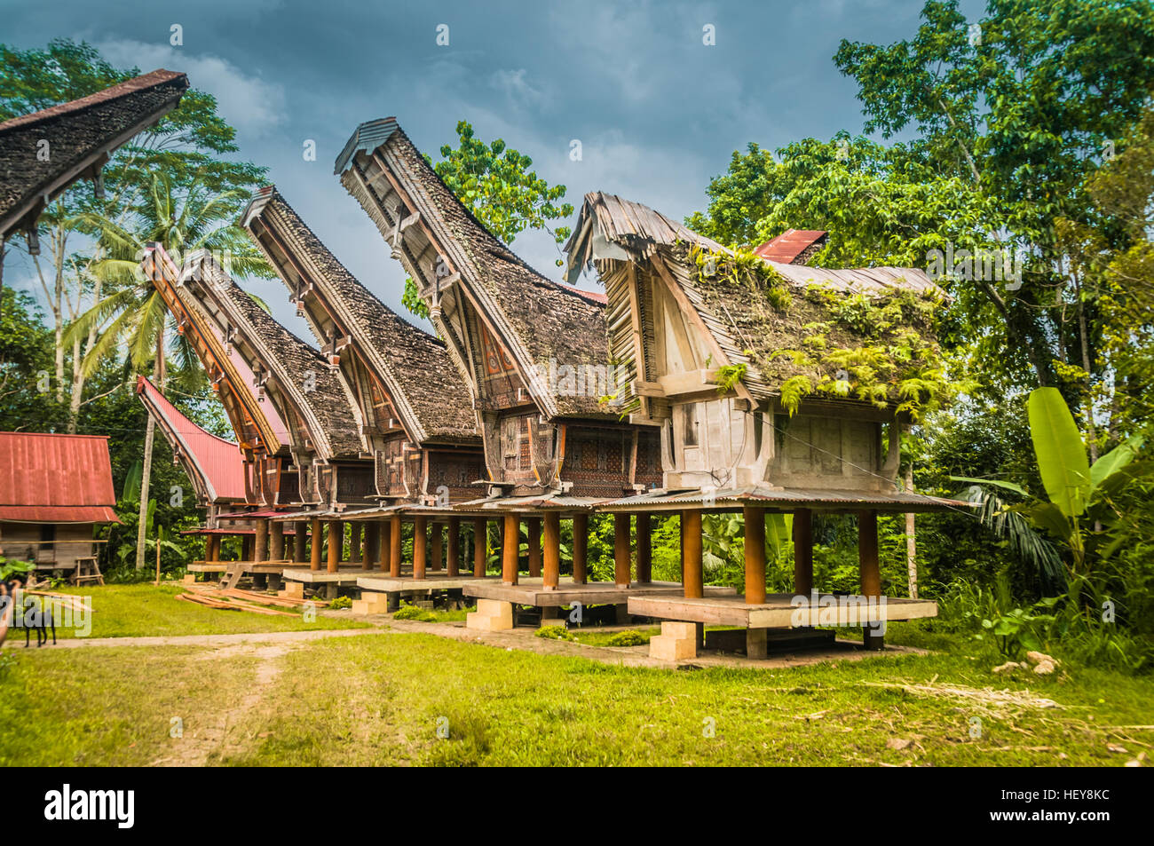 Photo of large ancestral houses typical of boat-shaped and large ...