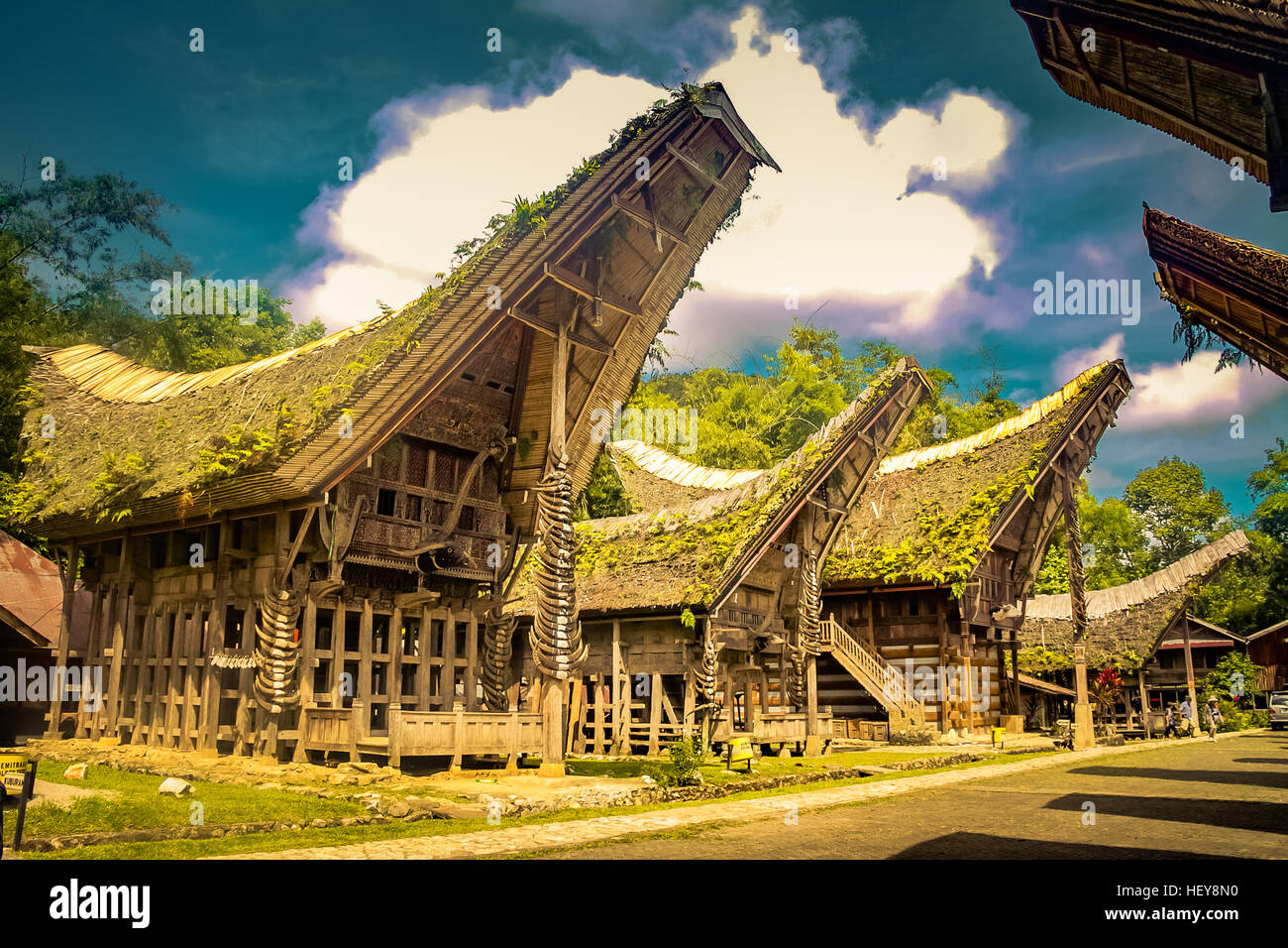 Photo of wooden ancestral houses with plants on typical boat-shaped and ...