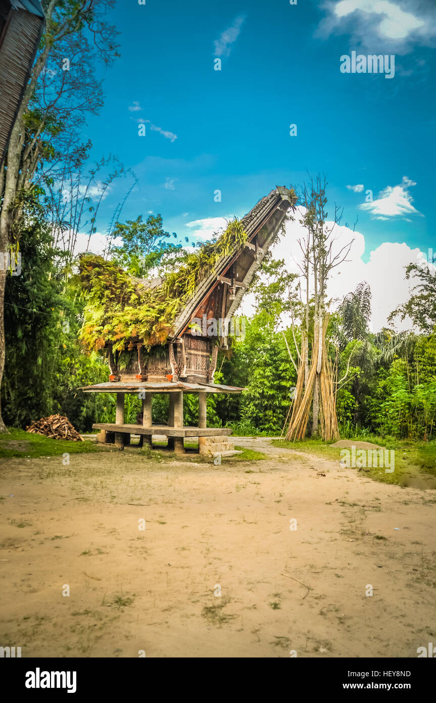 Traditional ancestral house with large saddleback roof covered with ...