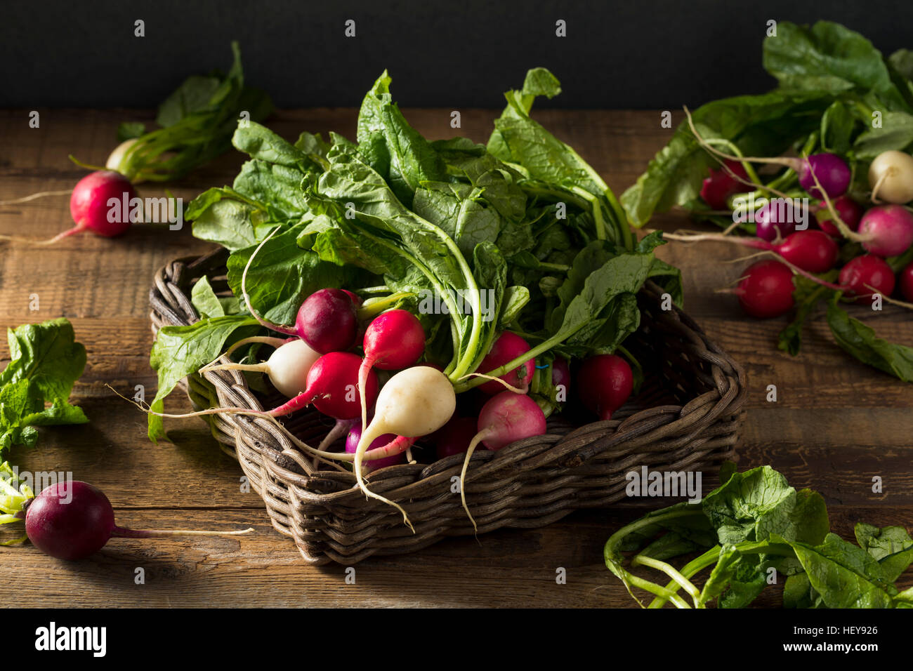 Raw Organic Muli Colored Easter Radishes in a Bunch Stock Photo - Alamy
