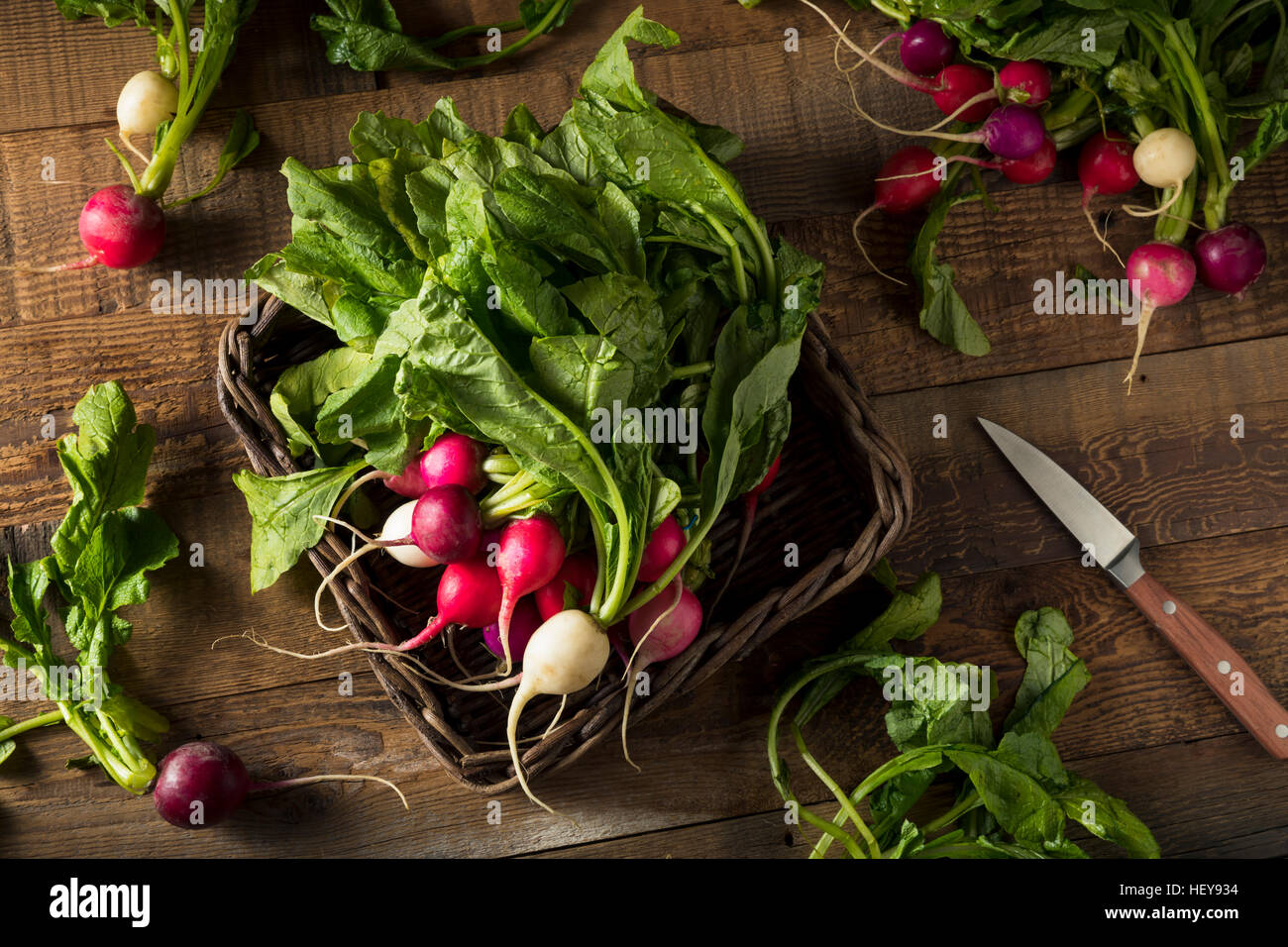 Raw Organic Muli Colored Easter Radishes in a Bunch Stock Photo - Alamy