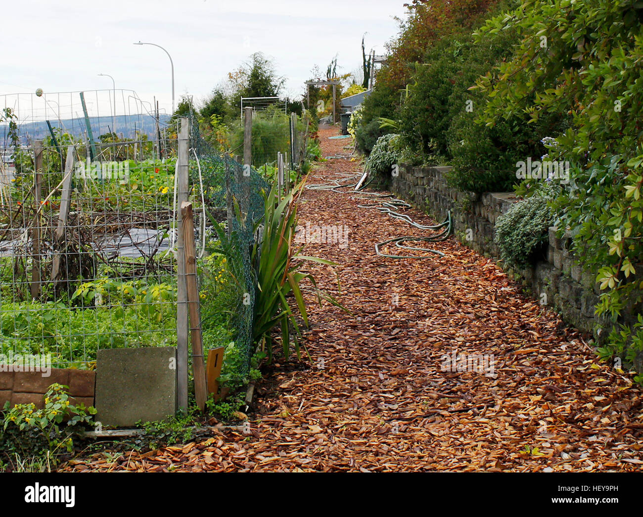 Outdoor community garden Stock Photo - Alamy