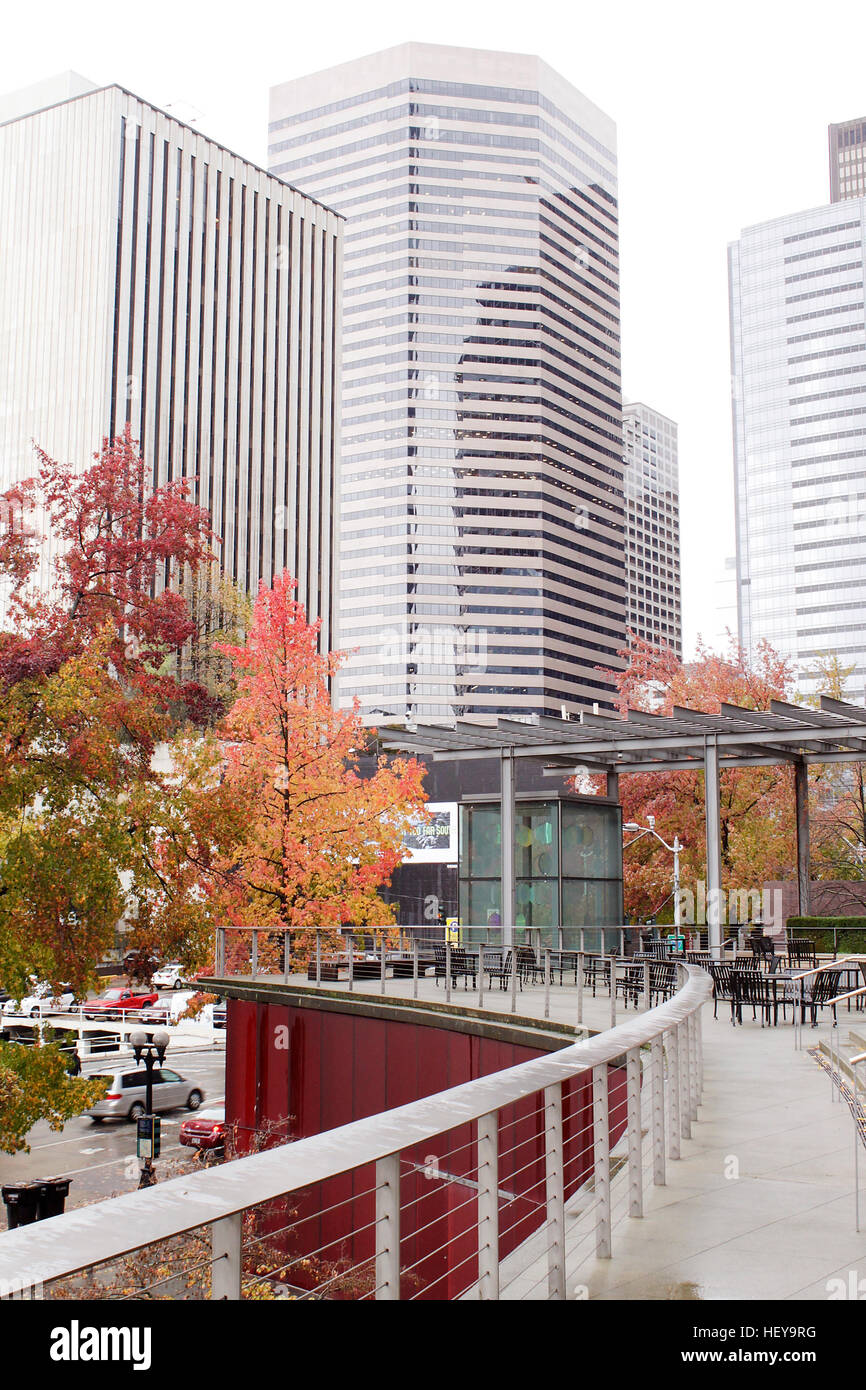 Downtown Seattle in the fall with tall buildings in the background ...