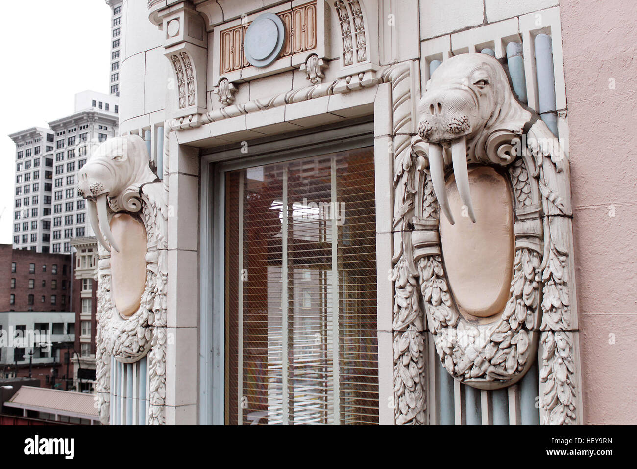 Walrus motif next to building window Stock Photo - Alamy