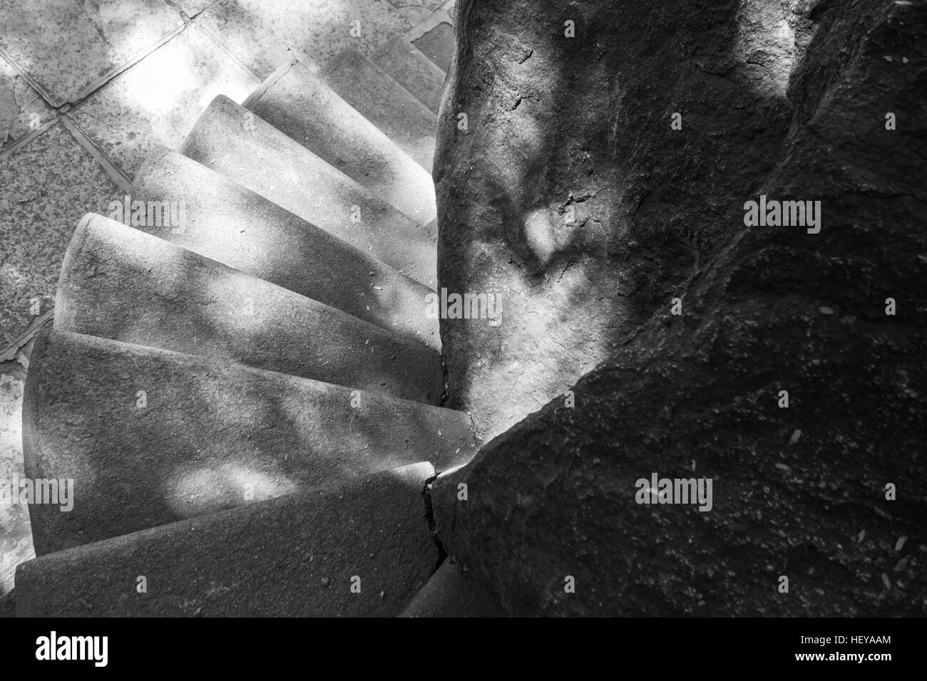 Close-up of a concrete stairs under a tree Stock Photo - Alamy