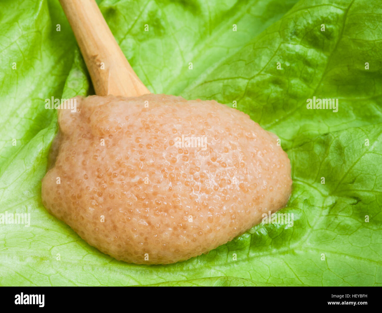 Perch spawn hi-res stock photography and images - Alamy