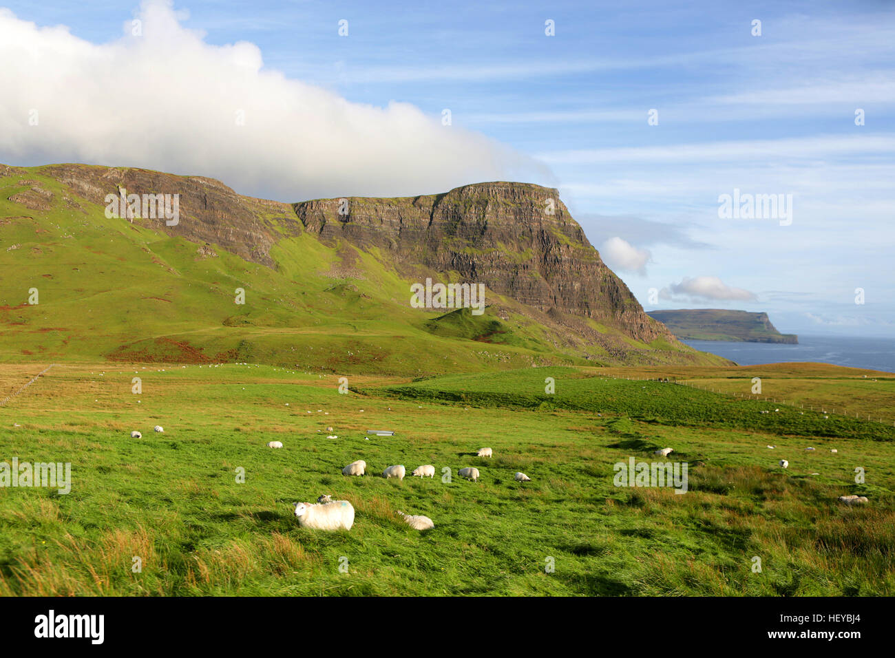 Sheep island viewpoint hi-res stock photography and images - Alamy