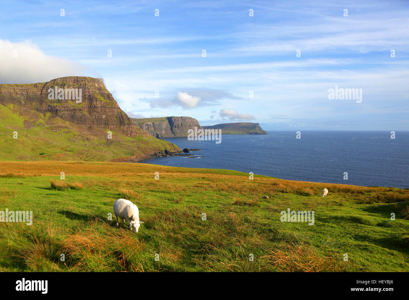 Sheep island viewpoint hi-res stock photography and images - Alamy