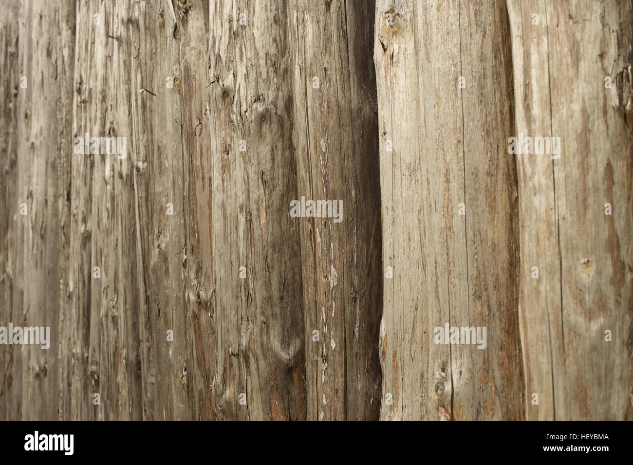 Vertical wood trunks wall texture hi-res stock photography and images ...