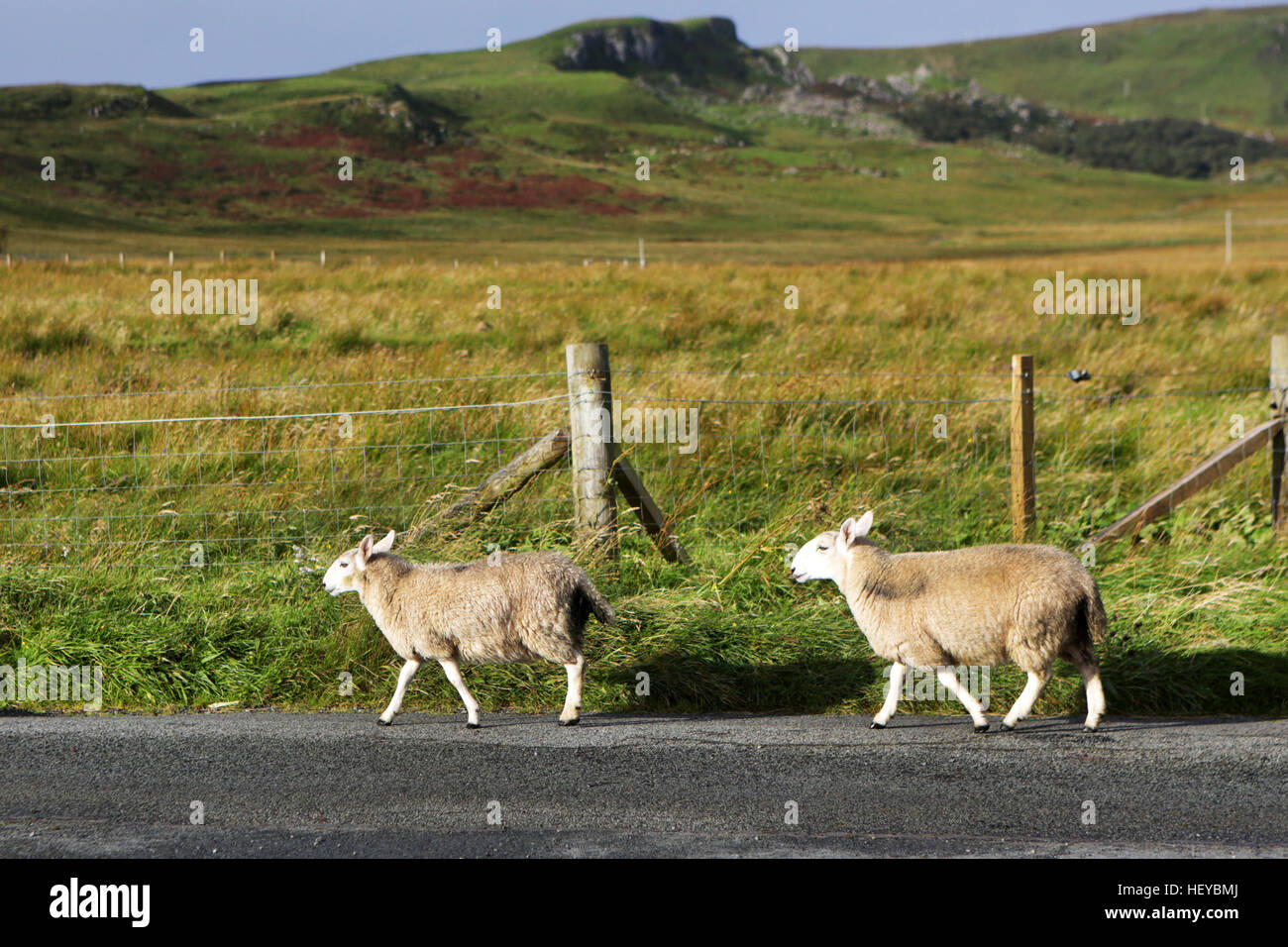 Isle of Skye is the largest and most northerly major island in the ...