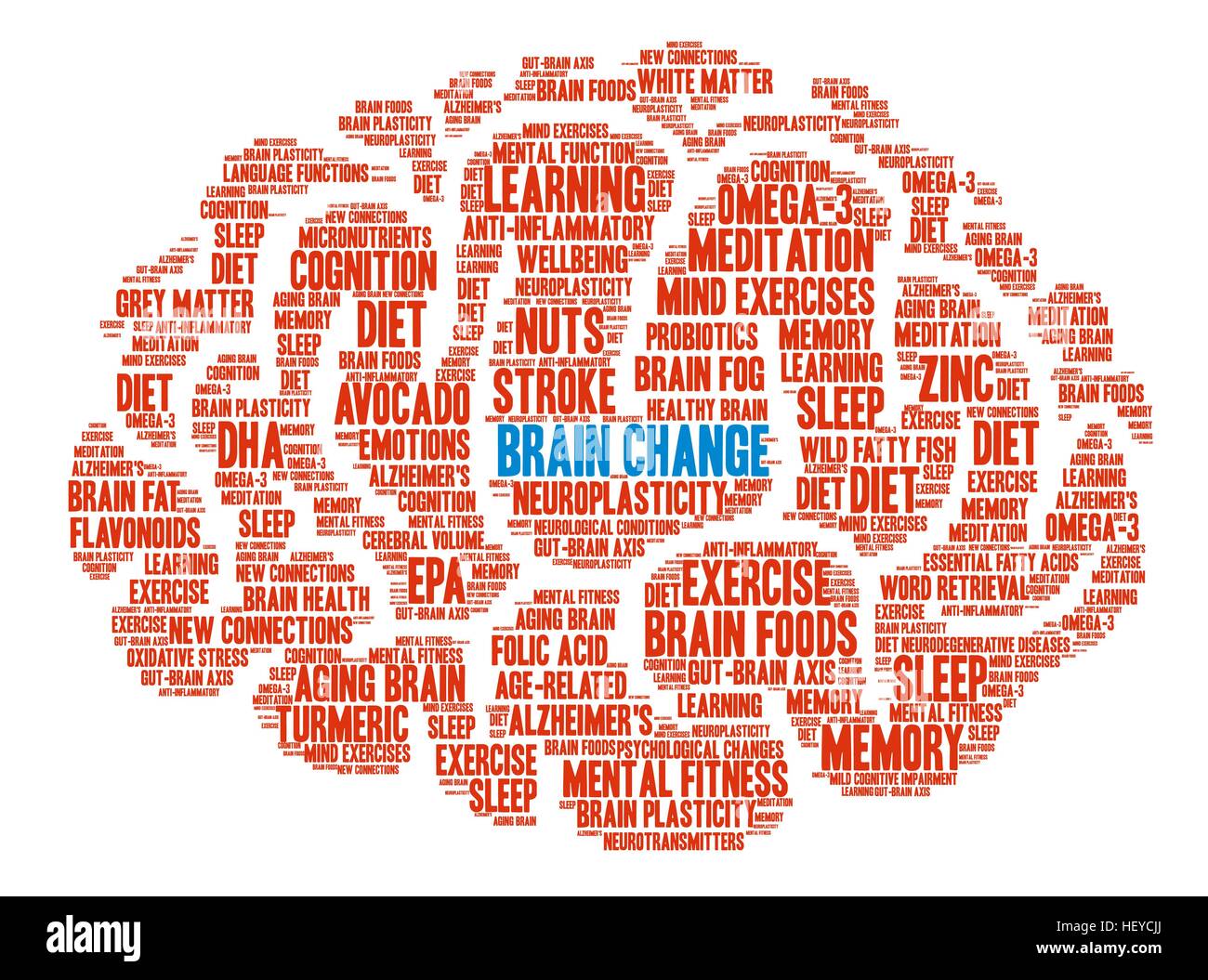 Brain Change Brain word cloud on a white background Stock Vector Image ...