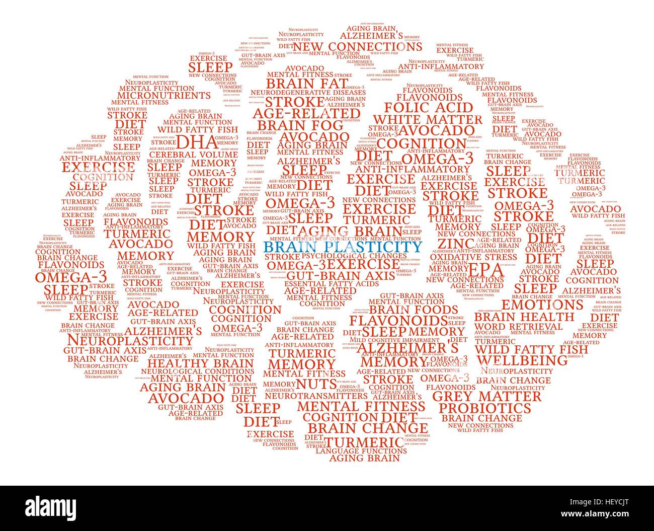 Brain Plasticity Brain word cloud on a white background Stock Vector ...