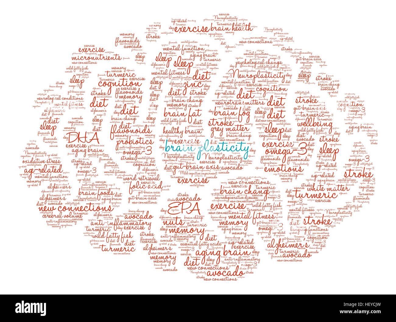 Brain Plasticity Brain word cloud on a white background Stock Vector ...