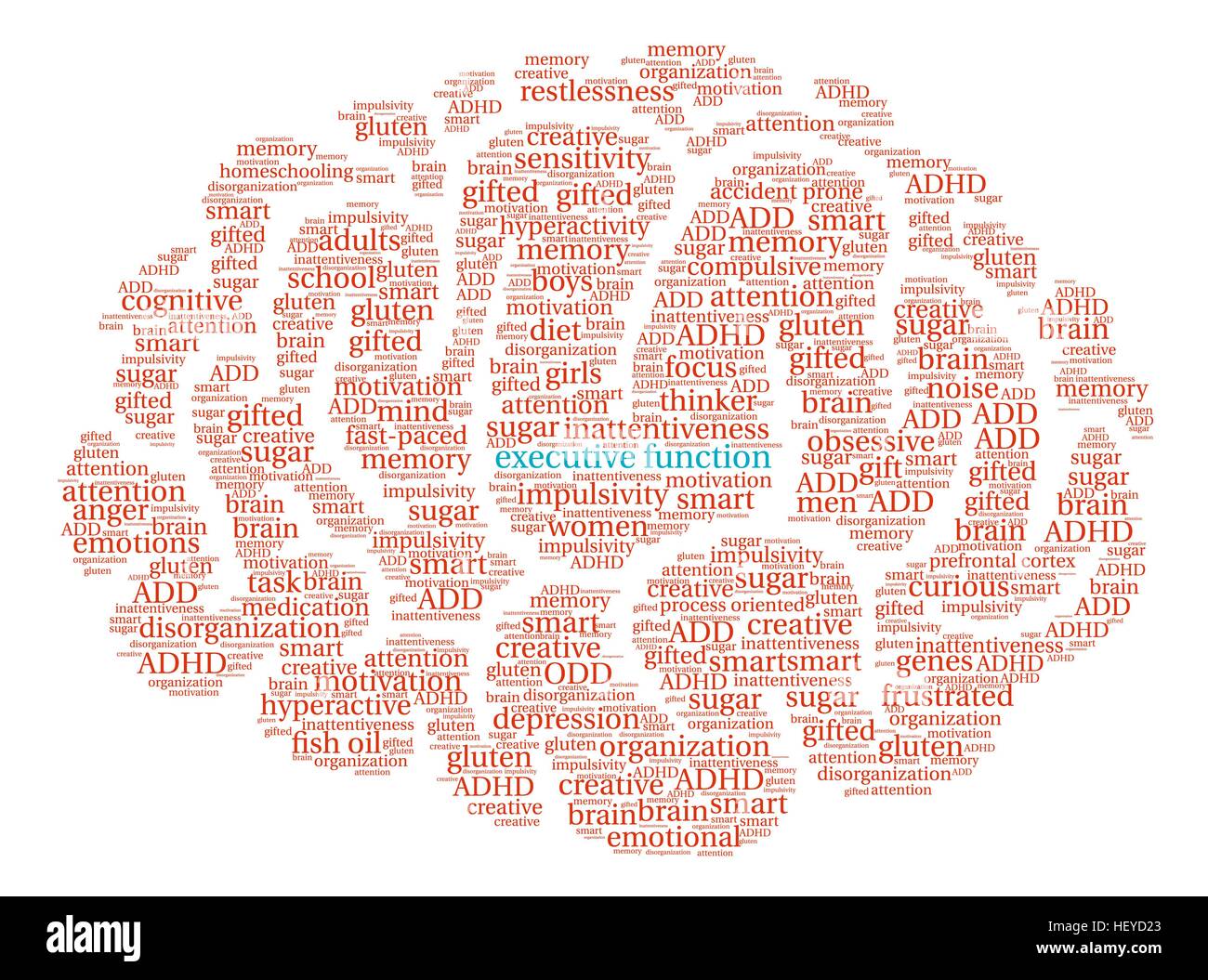Executive Function Brain word cloud on a white background Stock Vector ...