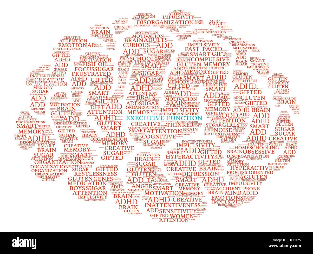 Executive Function Brain word cloud on a white background Stock Vector ...