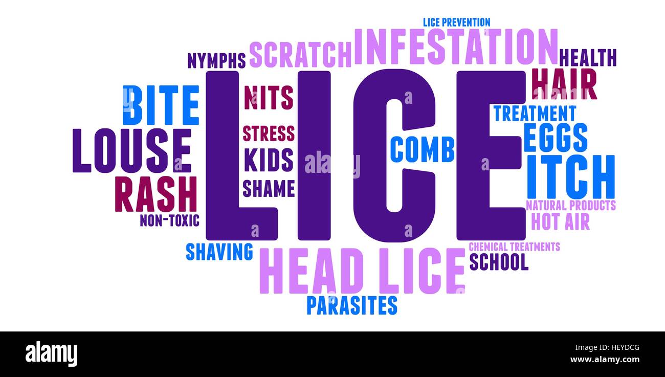 Lice word cloud on a white background Stock Vector Image & Art - Alamy