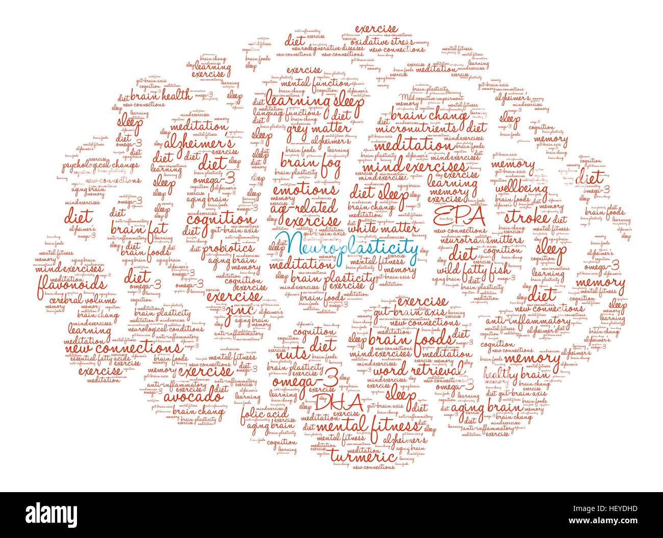 Neuroplasticity Brain word cloud on a white background Stock Vector ...