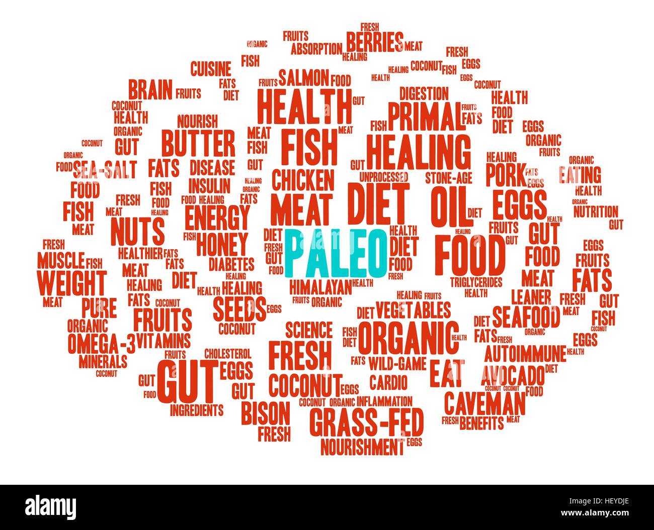 Paleo Brain word cloud on a white background Stock Vector Image & Art ...