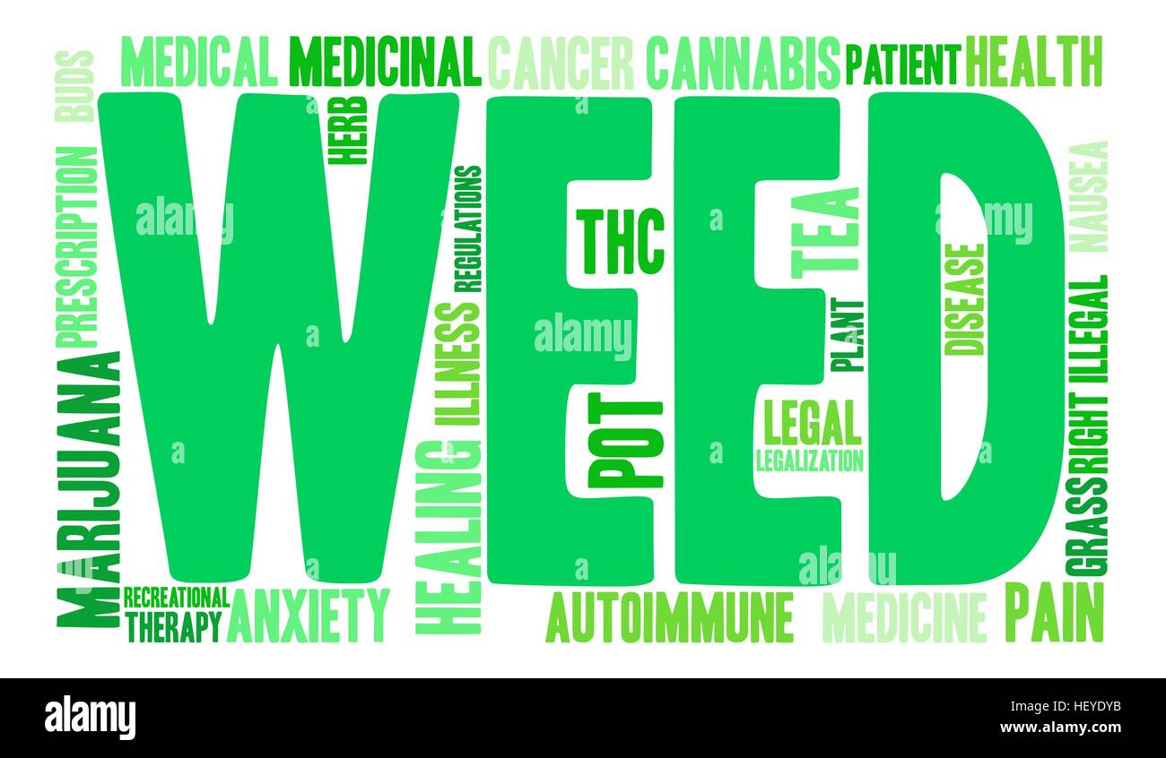 Weed word cloud on a white background Stock Vector Image & Art - Alamy