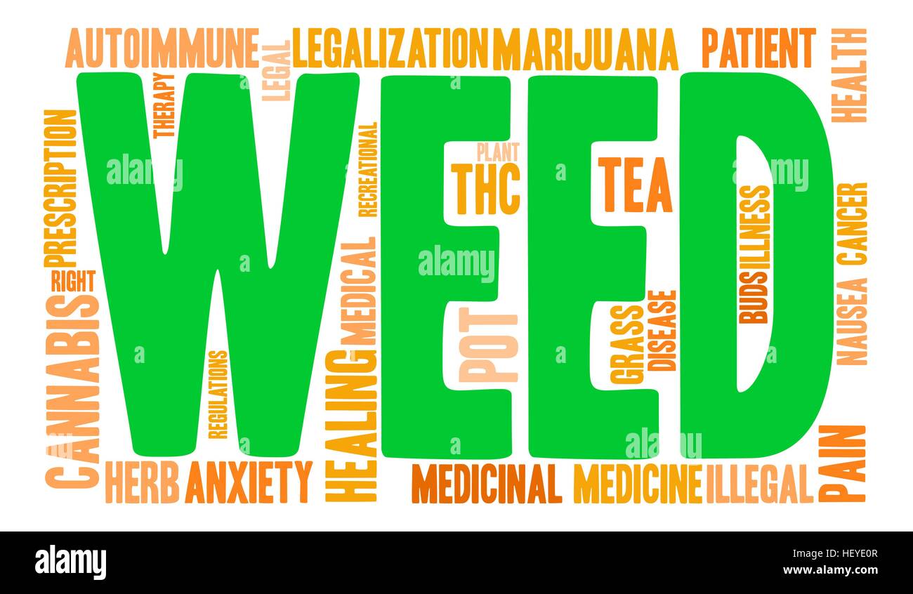 Weed word cloud on a white background Stock Vector Image & Art - Alamy