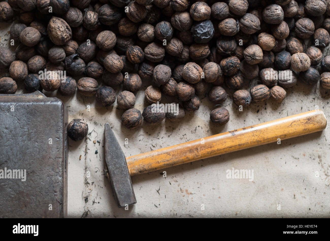 Whole walnuts on old table with anvil and nutcracker hammer from above ...