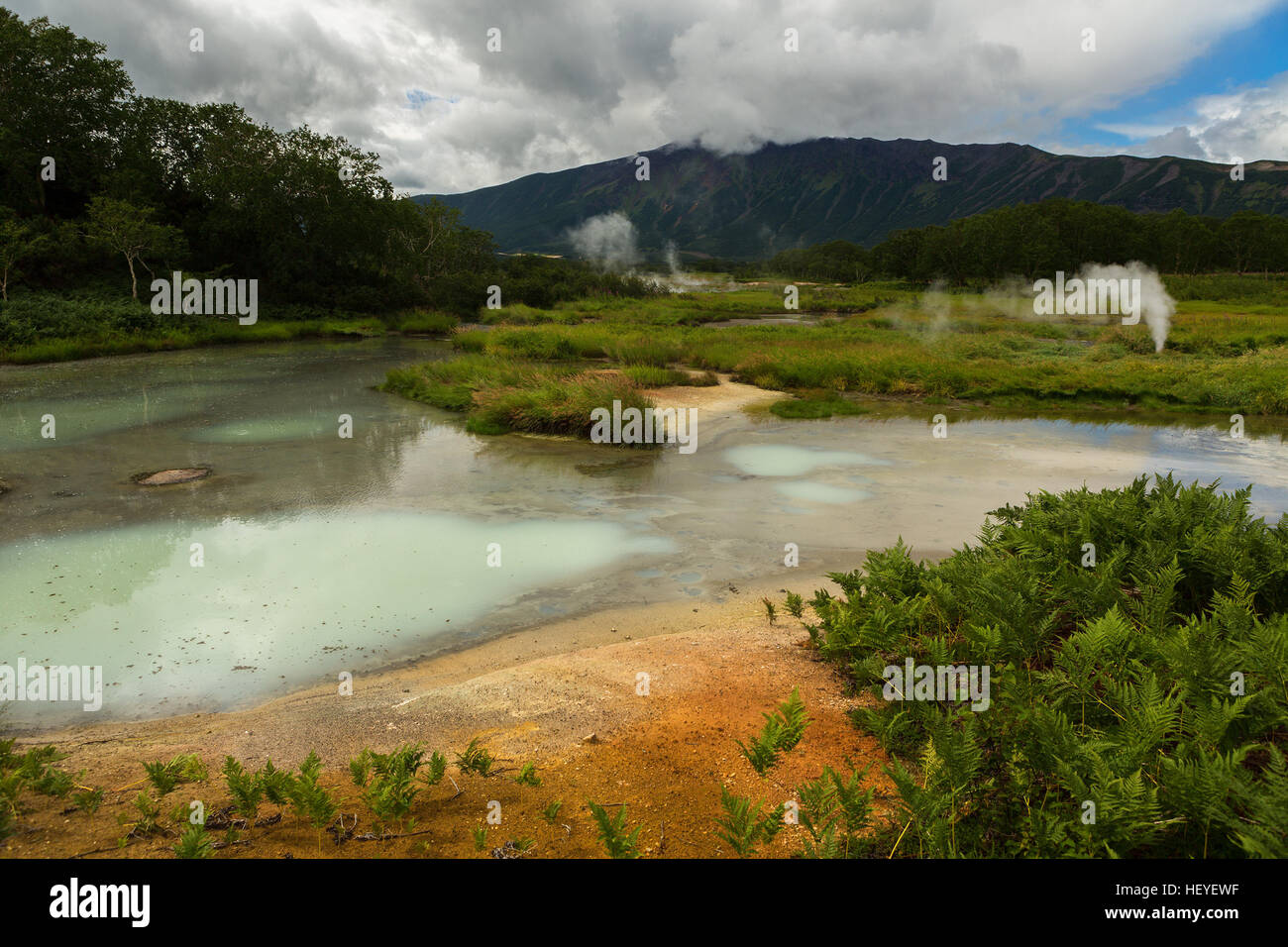 Hydrothermal field in the Uzon Caldera. Kronotsky Nature Reserve Stock ...