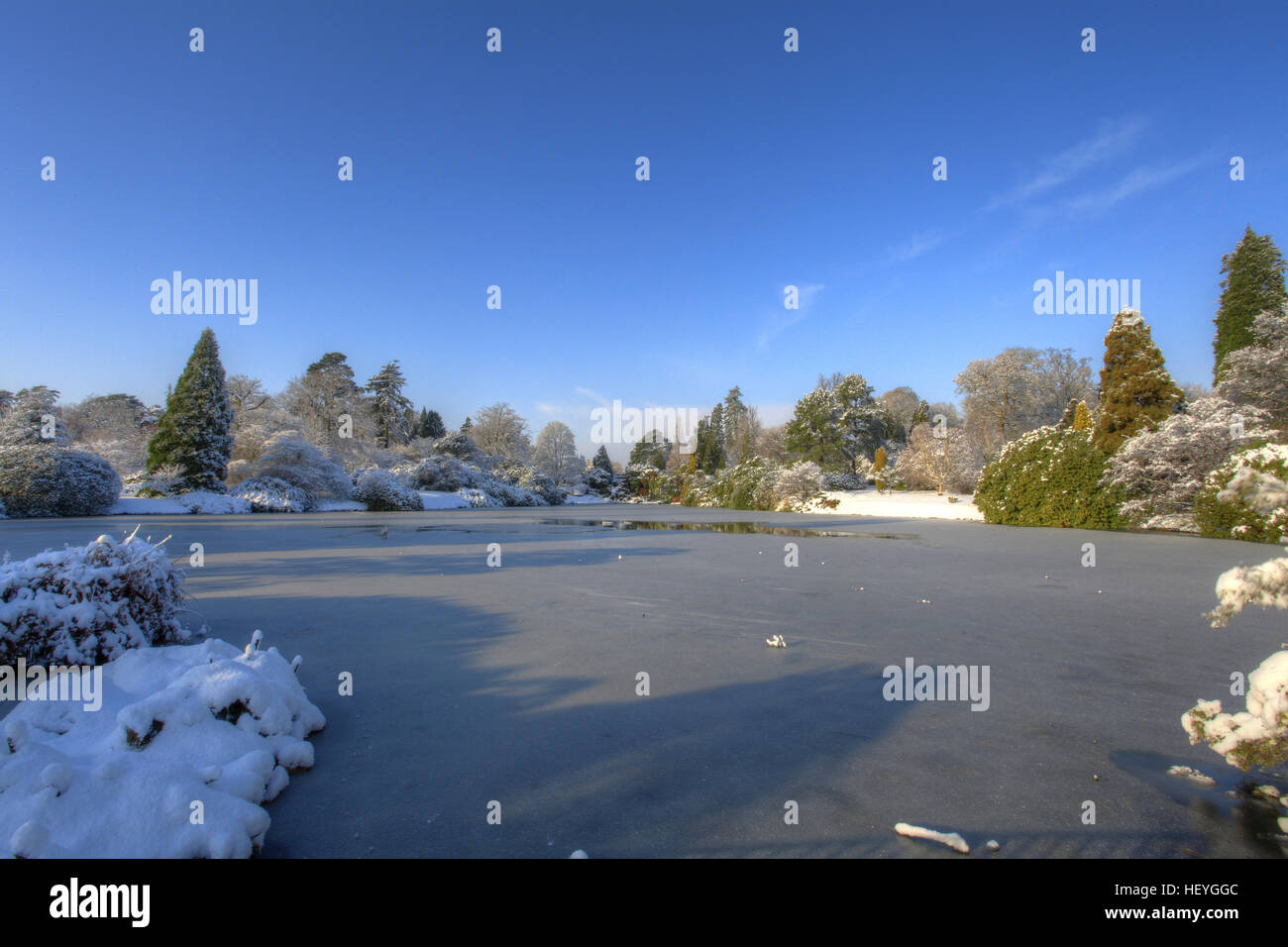 Sheffield park and garden snow hi-res stock photography and images - Alamy