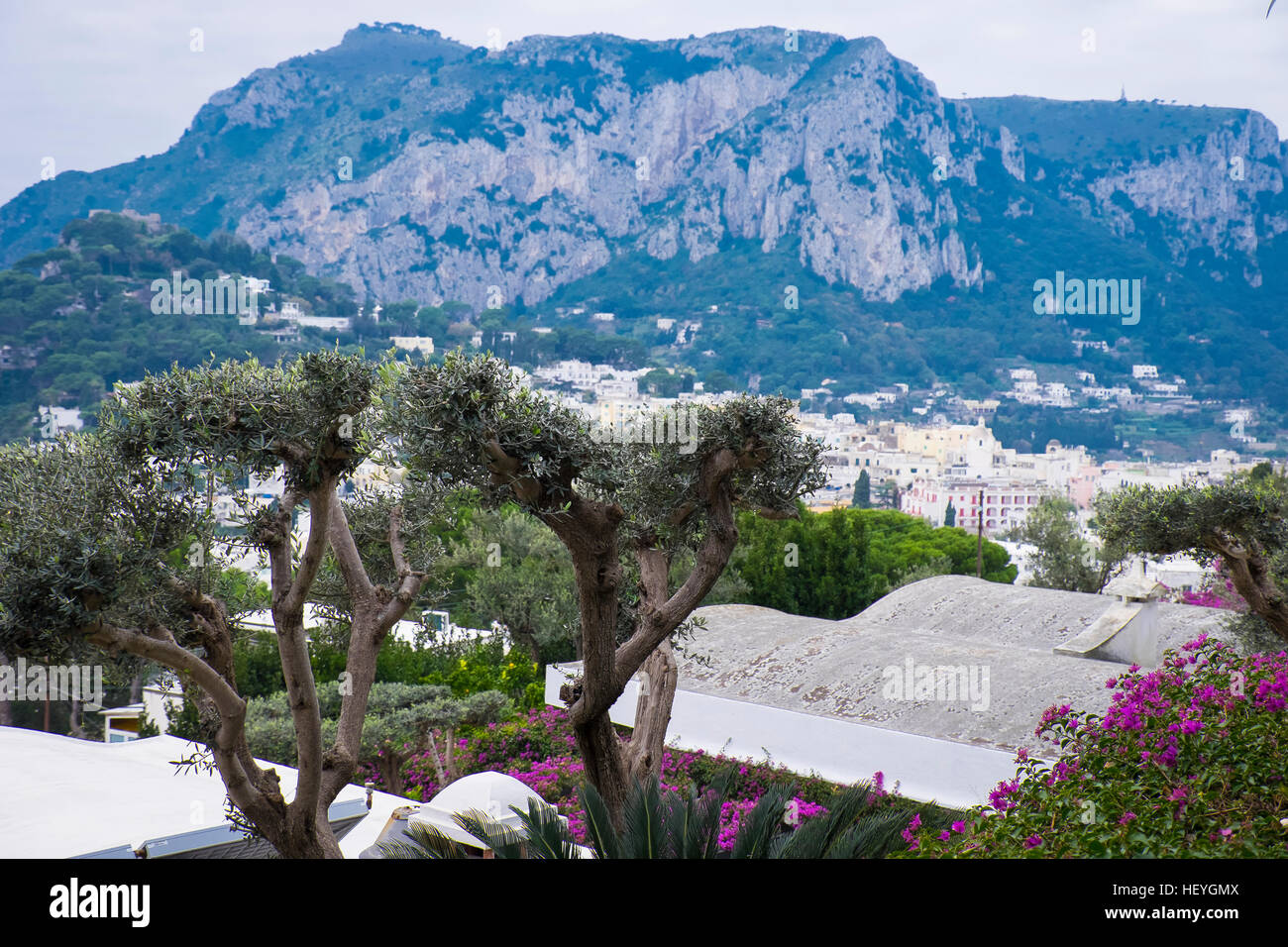 Italian island of Capri Stock Photo - Alamy