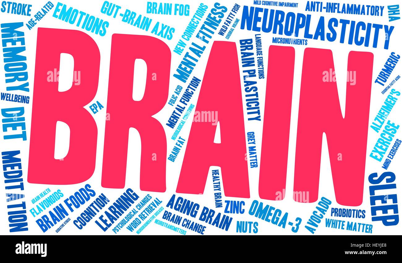 Brain word cloud on a white background Stock Vector Image & Art - Alamy