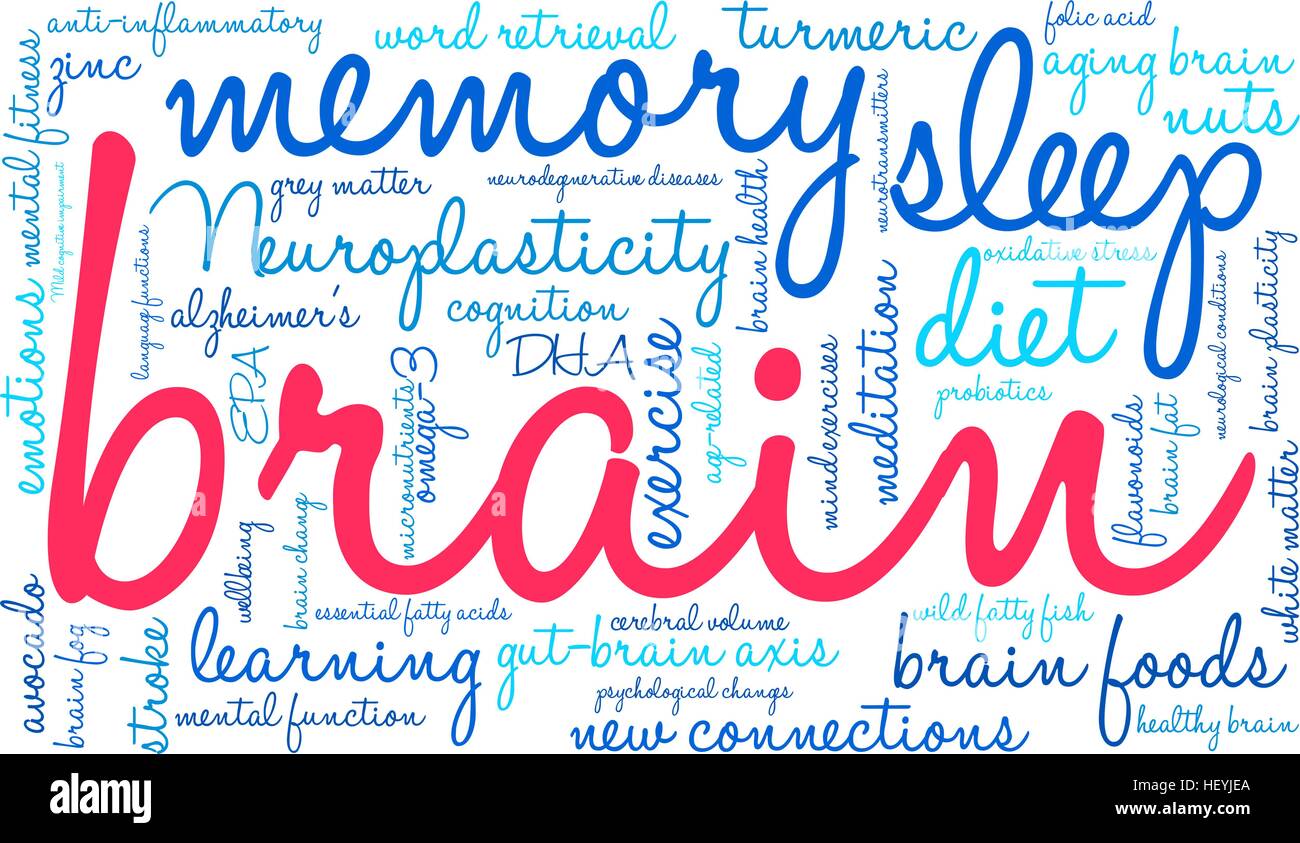 Brain word cloud on a white background Stock Vector Image & Art - Alamy