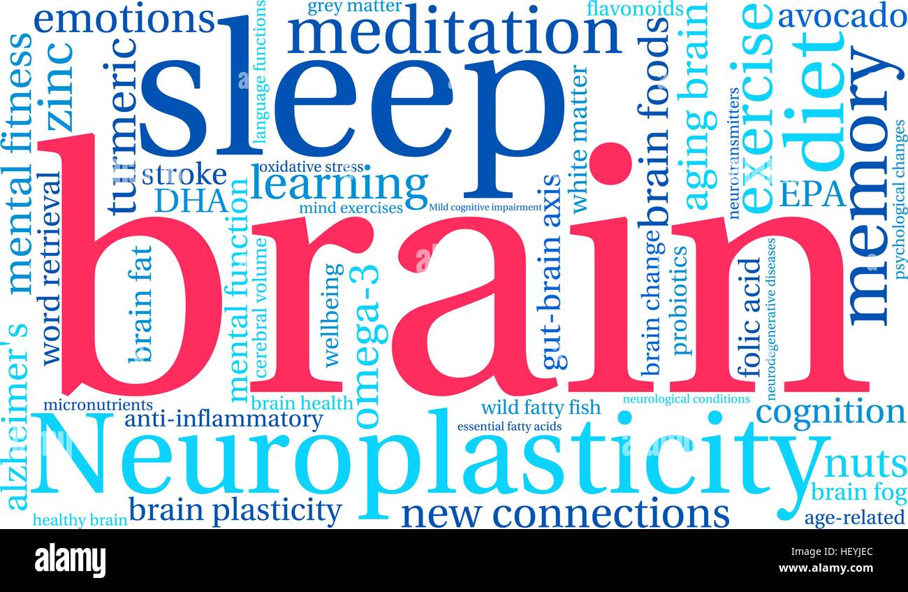 Brain word cloud on a white background Stock Vector Image & Art - Alamy