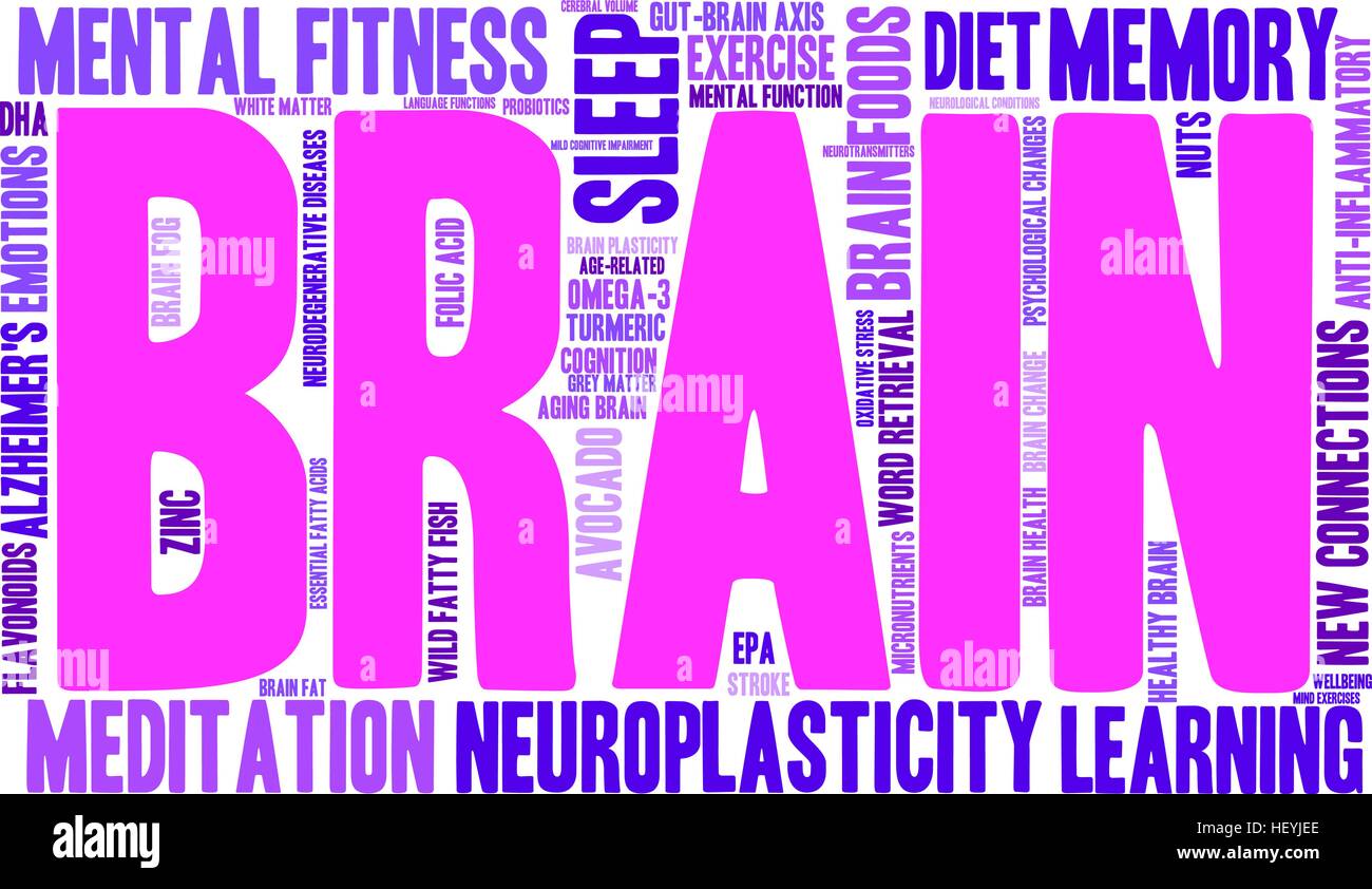Brain word cloud on a white background Stock Vector Image & Art - Alamy