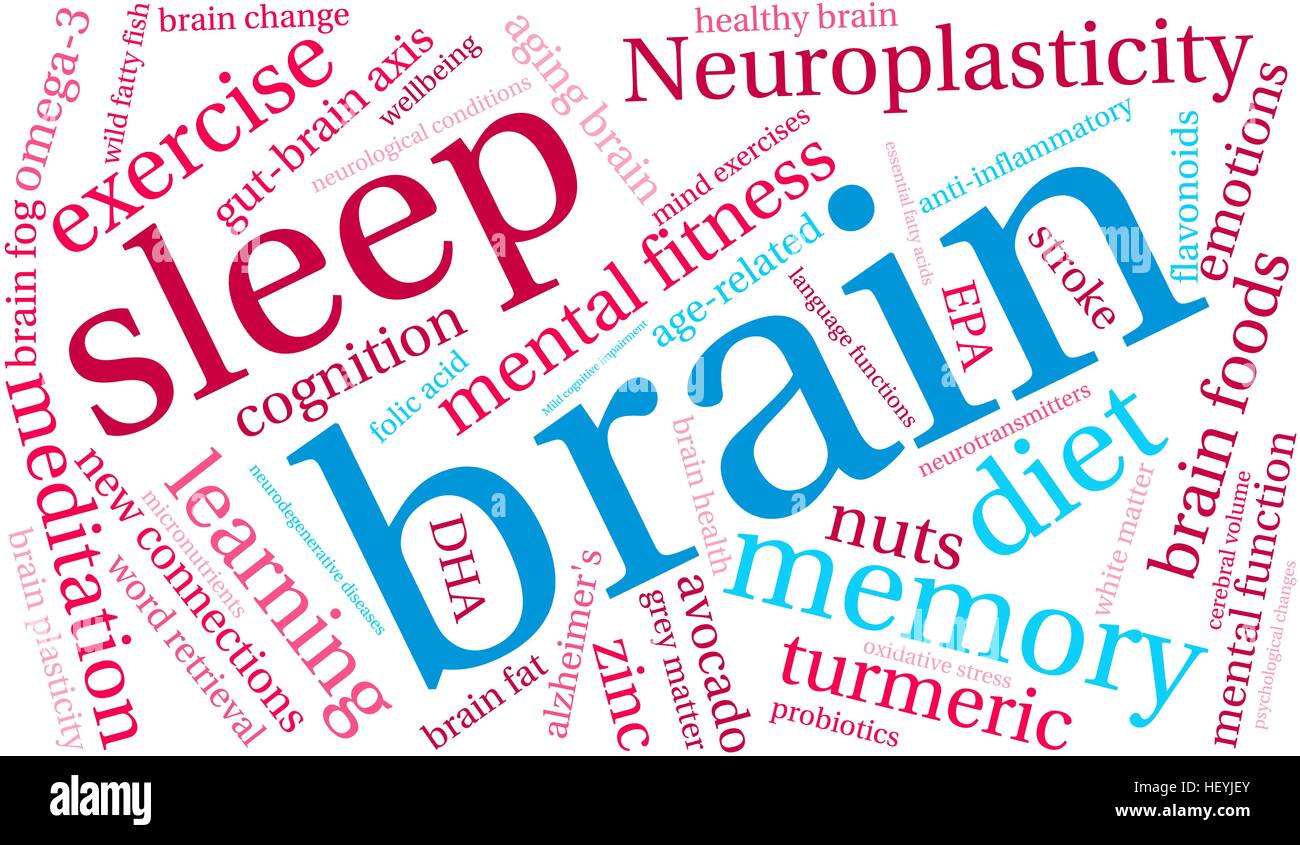 Brain word cloud on a white background Stock Vector Image & Art - Alamy