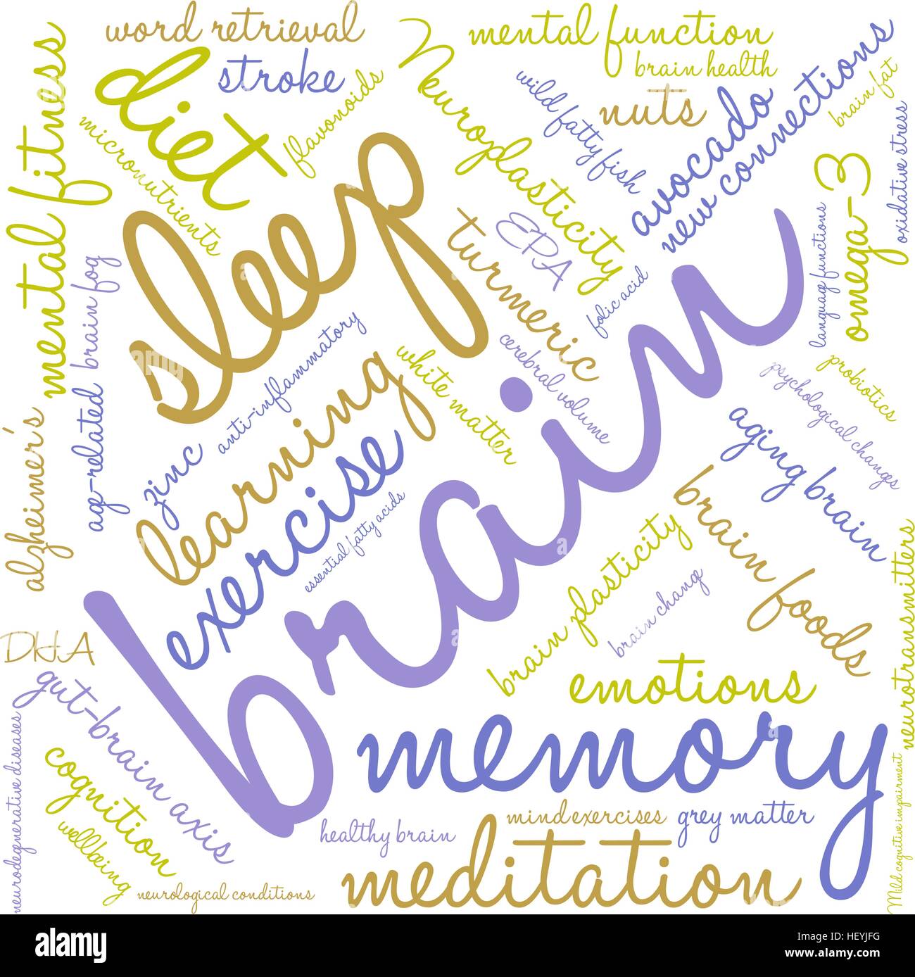 Brain word cloud on a white background Stock Vector Image & Art - Alamy